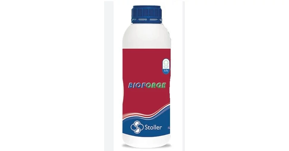 Bioforge 1liter